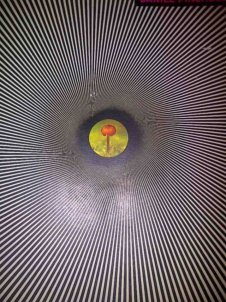 These amazing optical illusions will stretch your senses! - Trancentral