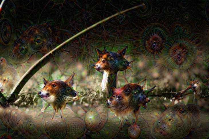Check out the most psychedelic Google Deep Dream pictures - Trancentral