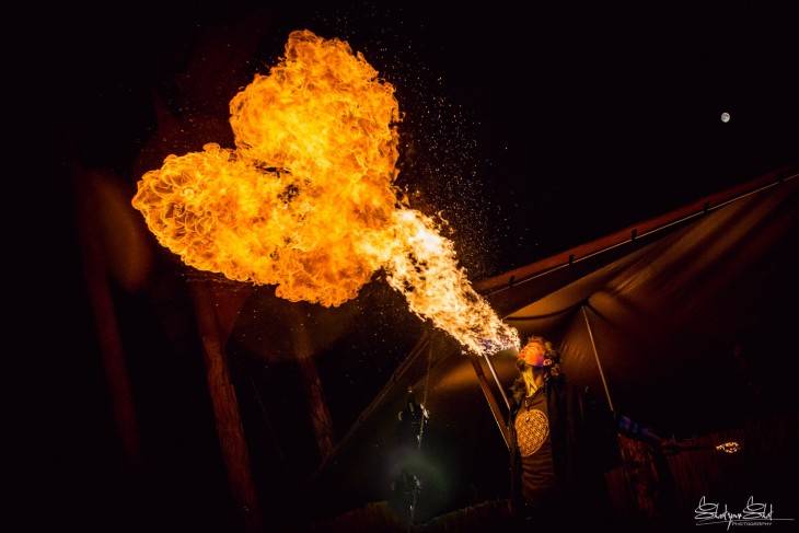 The amazing Psy-Fi Festival 2015 - Trancentral